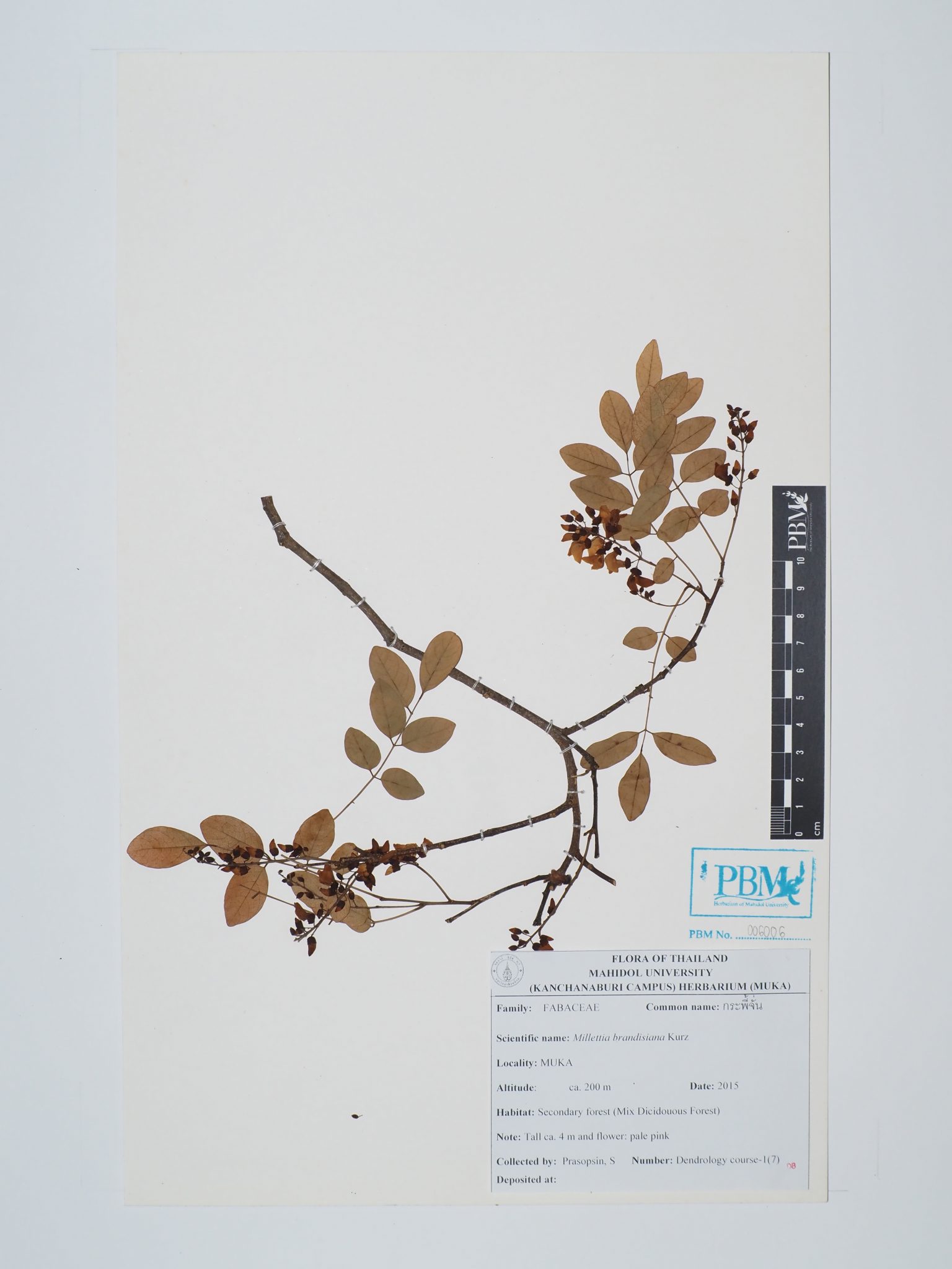 PBM-006006 – ฐานข้อมูลทรัพยากรชีวภาพ